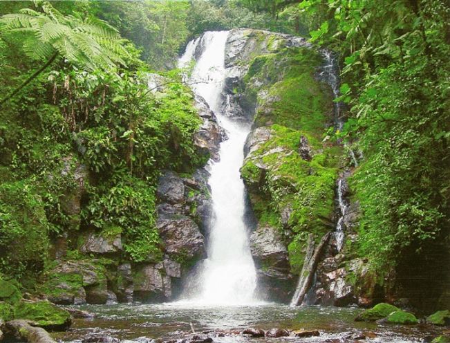 Cachoeira Do Alecrim - Tapiraí - Onde Visitar em Tapiraí - SP