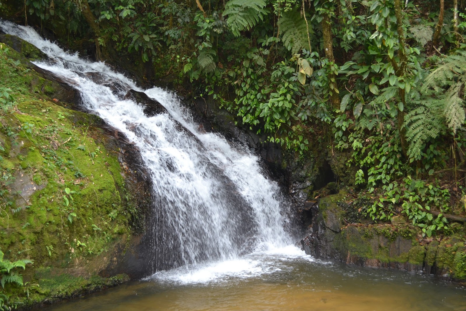 O que fazer em Tapiraí - Conheça Tapiraí