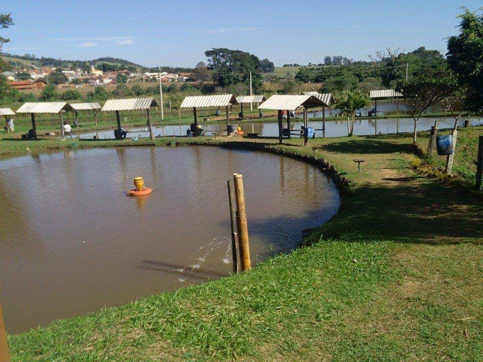 Arvoredo Restaurante em Tuiuti - Onde Comer em Tuiuti - SP